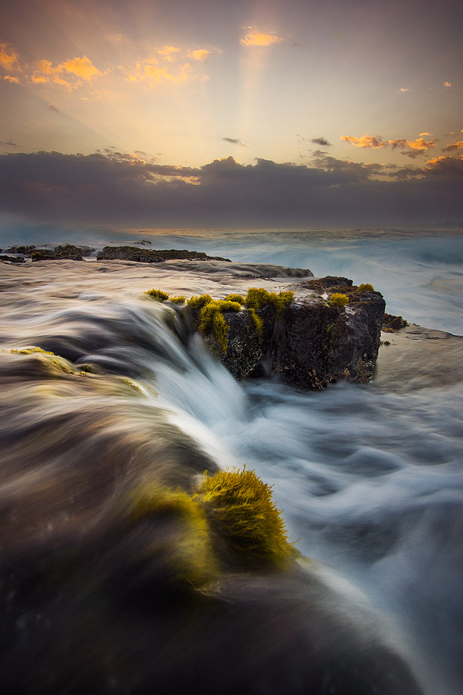 Fluid Light - Raiatea Arcuri Photography